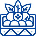 About MBG Marketing | Grower-Owned Blueberry and Blackberry Cooperative