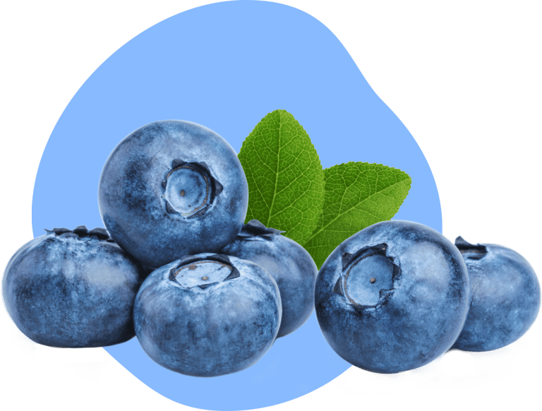 MBG Marketing | Grower-Owned Blueberry and Blackberry Cooperative