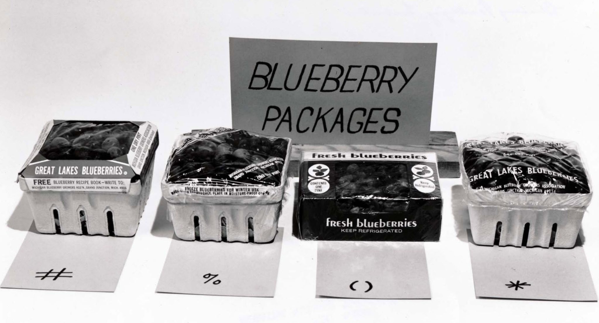 Our Story MBG Marketing | Grower-Owned Blueberry and Blackberry Cooperative